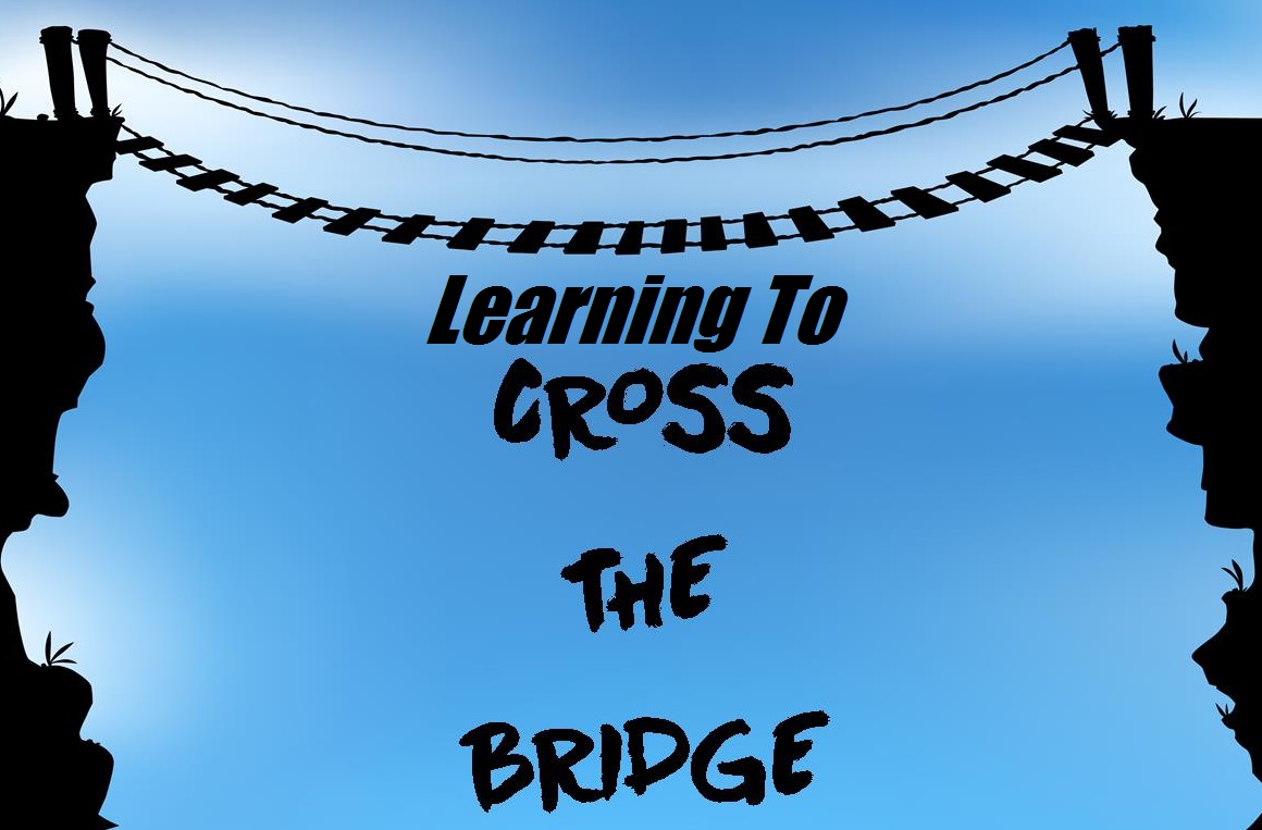 Do You Cross a Bridge????……Uhm……Every Day. – DiabetesDad